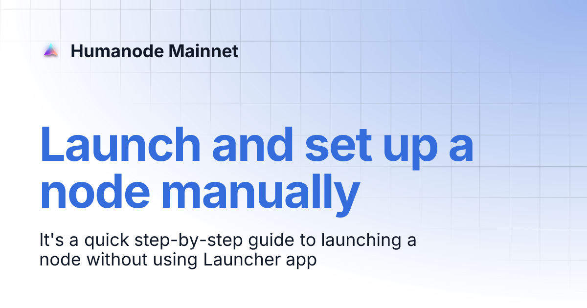 Launch and set up a node manually | Humanode Mainnet