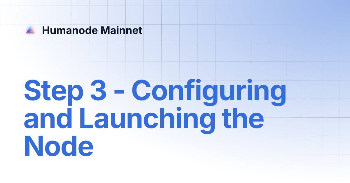 Step 3 - Configuring and Launching the Node | Humanode Mainnet